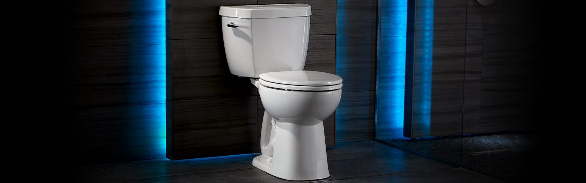 6 Best Dual Flush Toilets (Winter 2025) – Reviews & Buying Guide