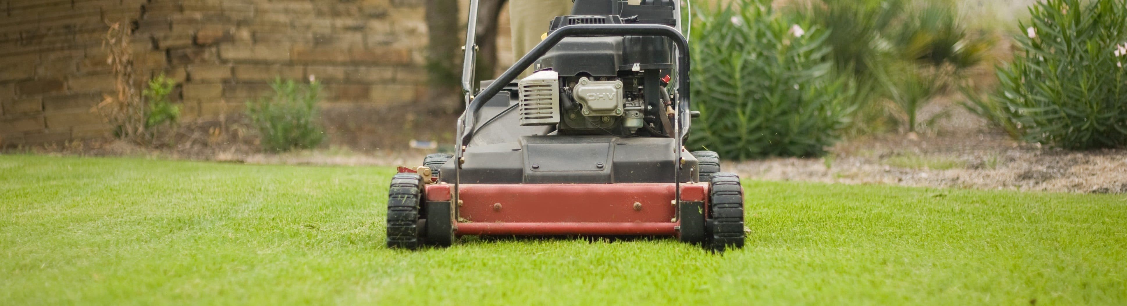 6 Best Mowers for Hills (Spring 2023) - Reviews and Guide