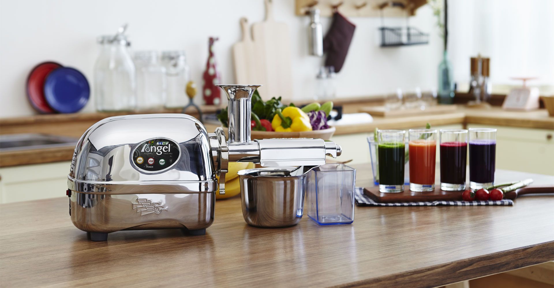 7 Best Twin Gear Juicers (Winter 2025) - Reviews & Buying Guide