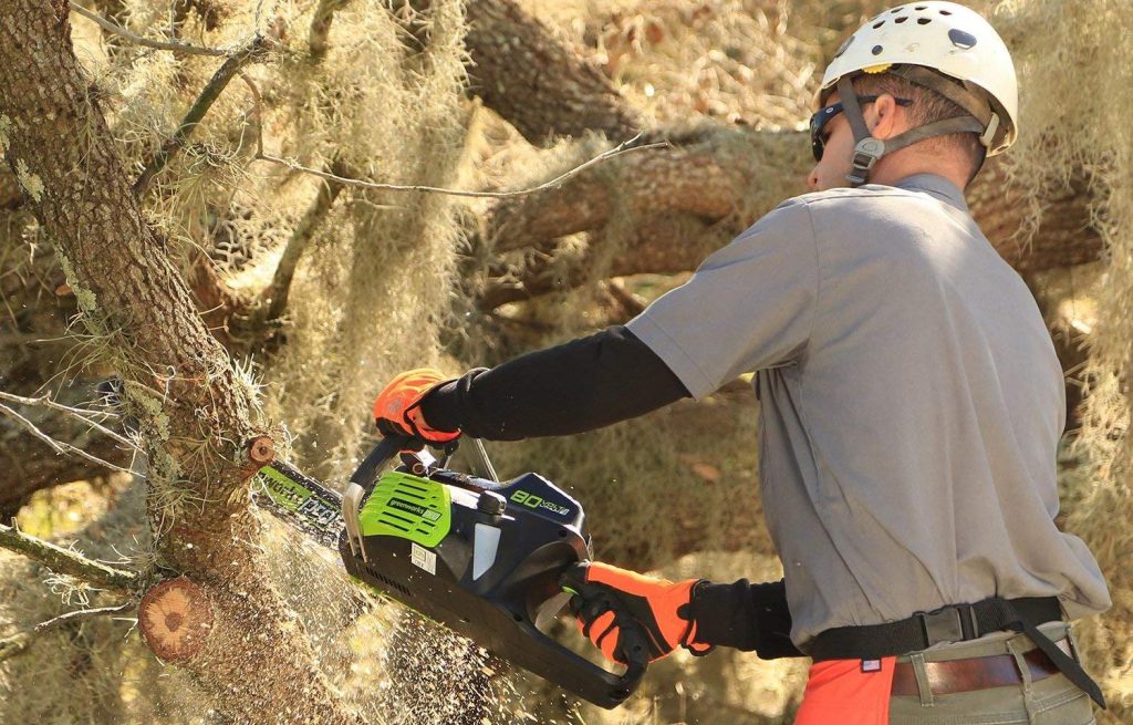 12 Best Cordless Chainsaws (Spring 2025) – Reviews & Buying Guide
