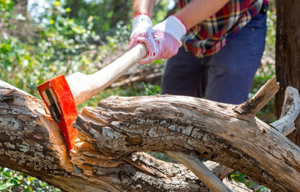 7 Best Splitting Mauls (Summer 2023) – Reviews & Buying Guide