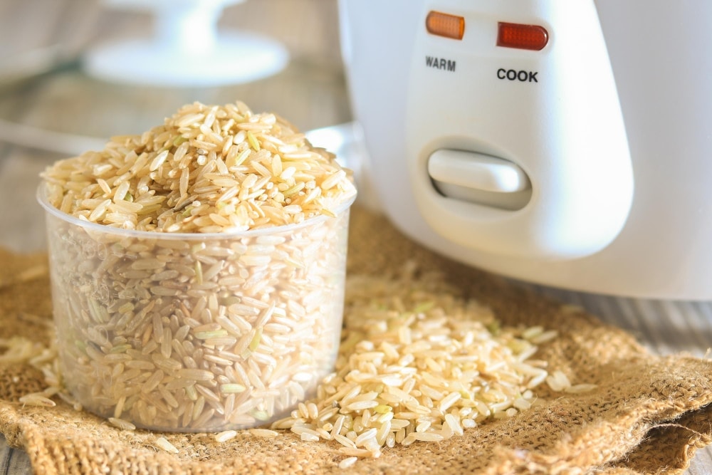 10 Best Rice Cookers for Brown Rice (Spring 2025) - Reviews & Guide