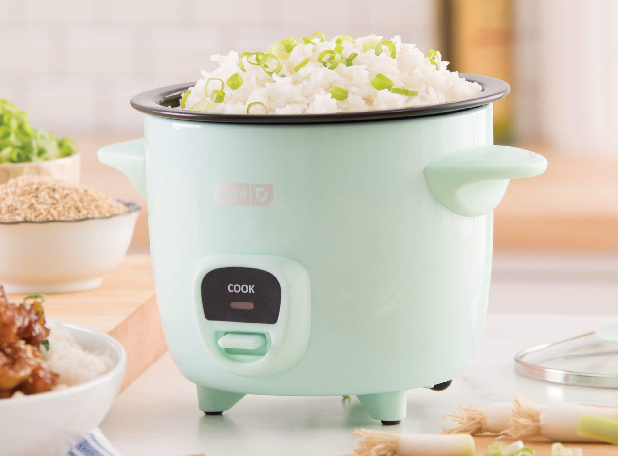6 Best Small Rice Cookers (Winter 2024) — Reviews & Buying Guide
