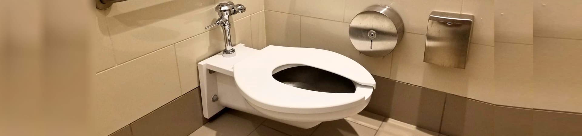 4 Best Toilet Seats for Heavy Person (Winter 2025) — Reviews