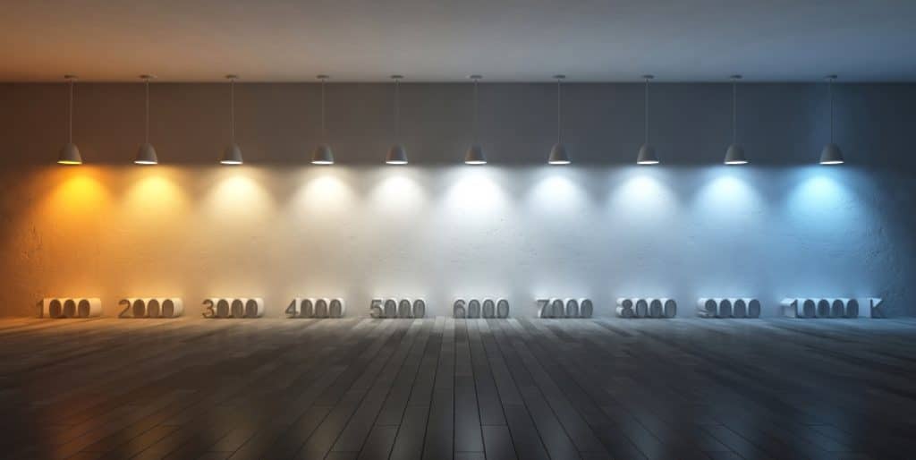 7 Best Natural Light Lamps (Spring 2025) – Reviews & Buying Guide