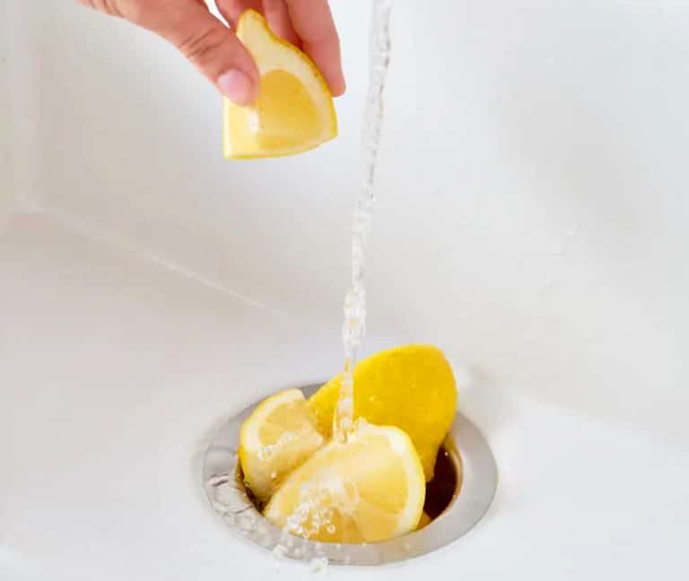 Should You Put Lemon in a Garbage Disposal? Here's the Answer
